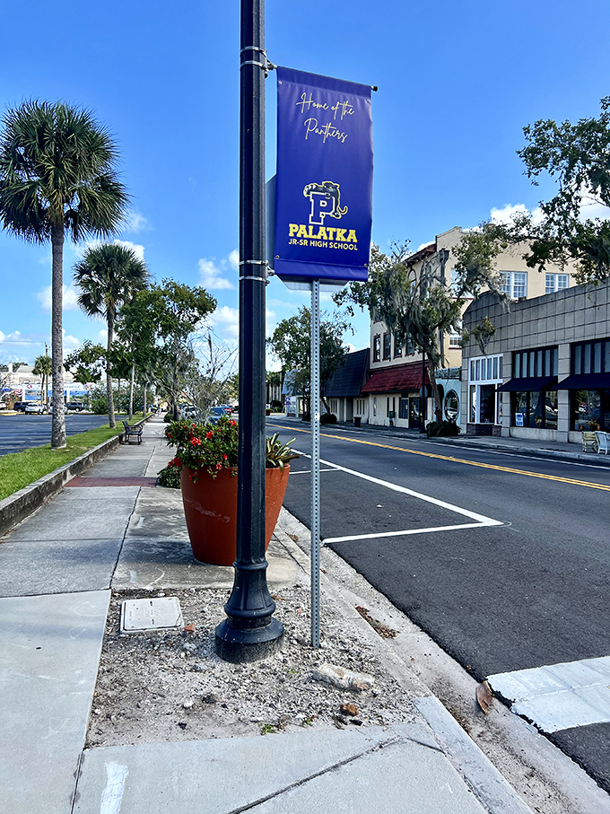 Palatka High's hometown pride flies high above streets where generations have strolled, shopped, and shared the latest local gossip. 