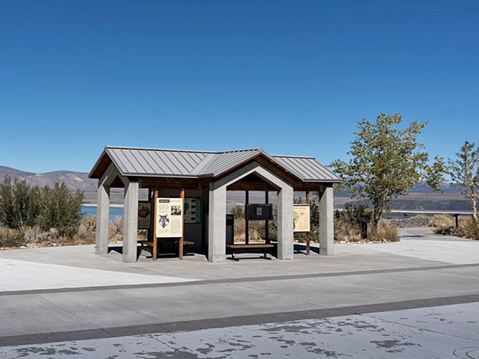 This roadside information kiosk might be the only place where learning about alkaline lakes and limestone formations feels like entertainment, not science class.
