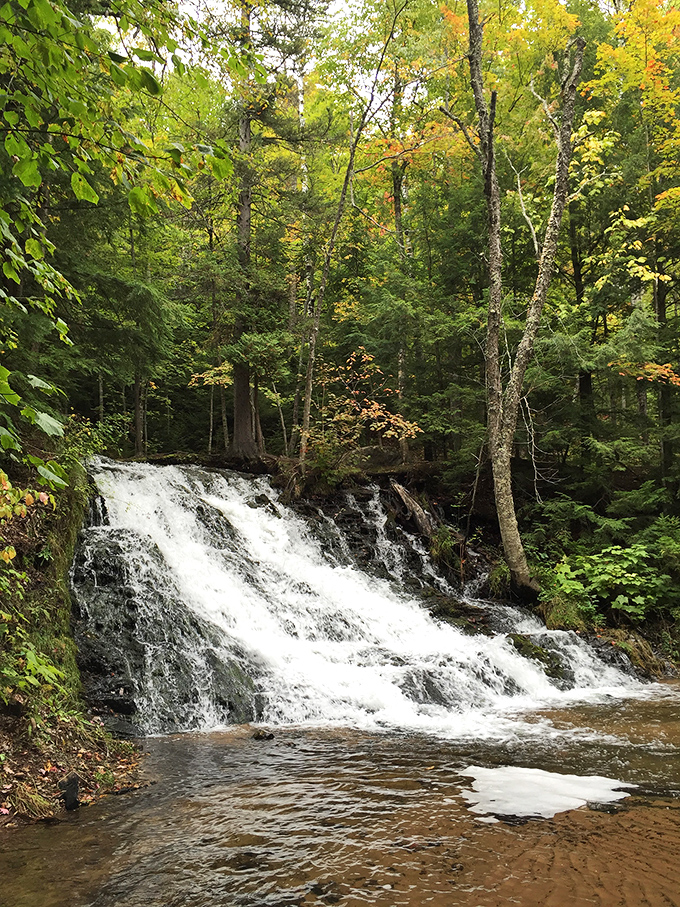 Morgan Falls cascades through a forest tapestry of evergreens and hardwoods, creating nature's perfect soundtrack for hikers seeking tranquility.