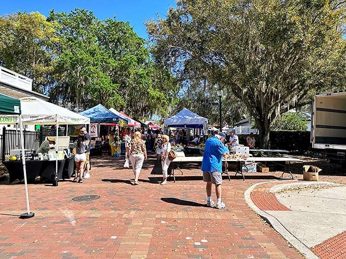 The Mount Dora Village Market transforms brick-lined streets into a bustling bazaar where locals and visitors hunt for treasures under Spanish moss-draped oaks.