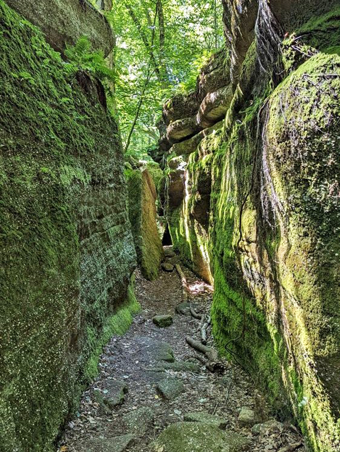 Nature's hallway, complete with emerald wallpaper. This narrow passage between towering moss-covered walls feels like walking through Earth's secret corridors.
