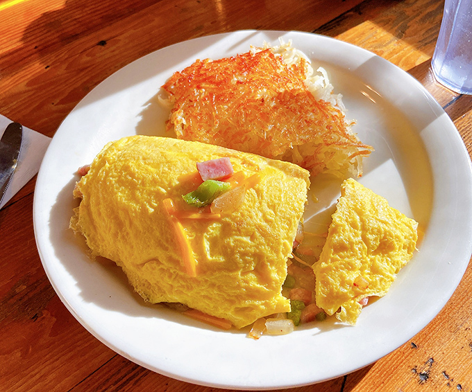 An omelet so perfectly executed it should give a TED talk on breakfast excellence. That hash brown lace is the crispy crown jewel.