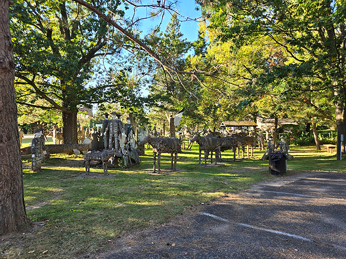 A peaceful clearing where concrete citizens gather, like a town square where everyone showed up but forgot to bring chairs.