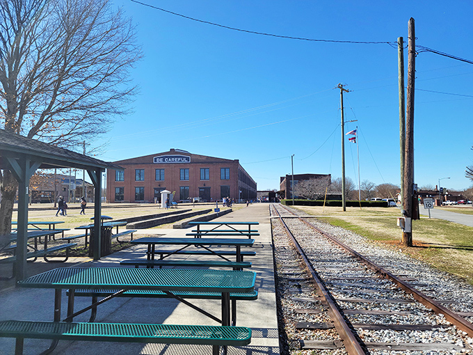The museum grounds offer picnic areas alongside the tracks, where families can enjoy lunch with the occasional rumble of passing exhibition trains as entertainment.