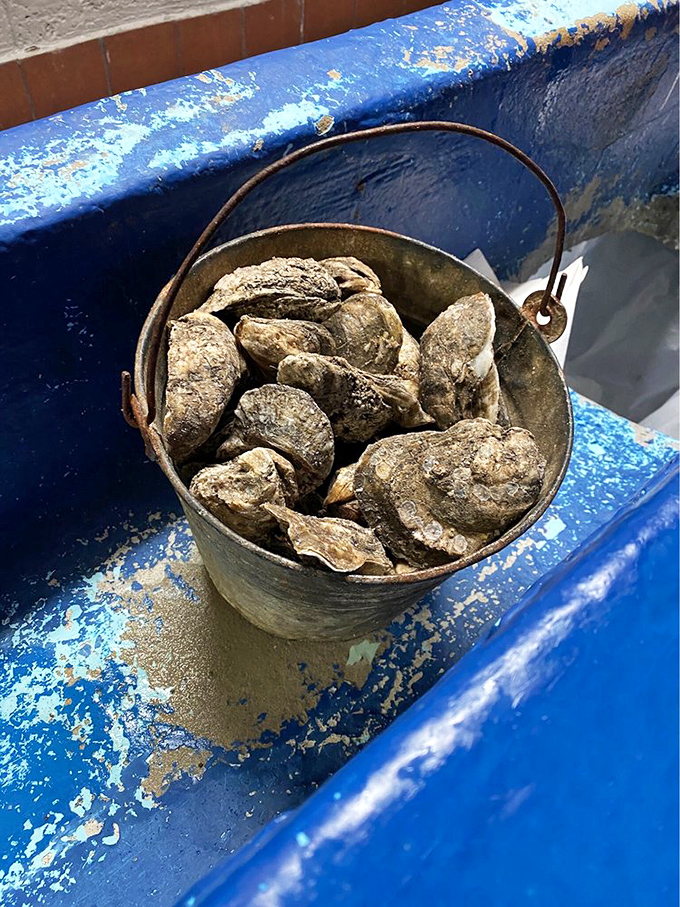 The legendary oyster bucket in its natural habitat&mdash;unshucked treasures waiting to reveal their briny secrets. Seafood doesn't get more authentic than this.