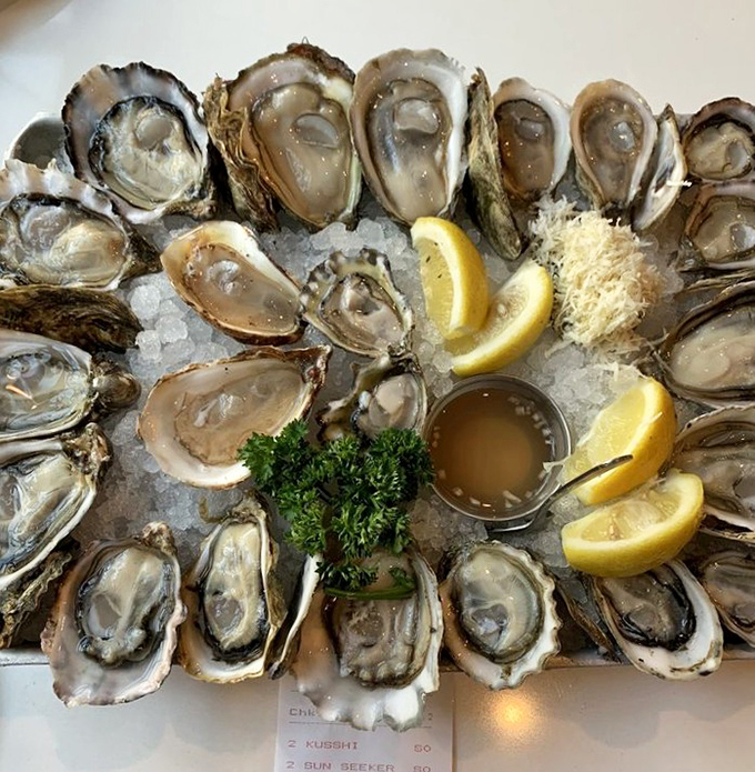 A circle of briny perfection awaits. These oysters aren't just seafood; they're little pools of oceanic bliss on ice.