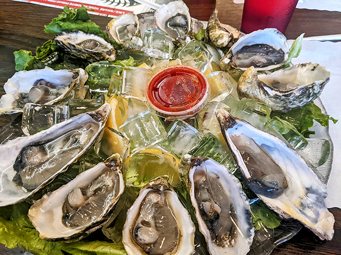 Fresh oysters on ice&mdash;nature's perfect appetizer. Like kissing the ocean, but with cocktail sauce as your wingman.