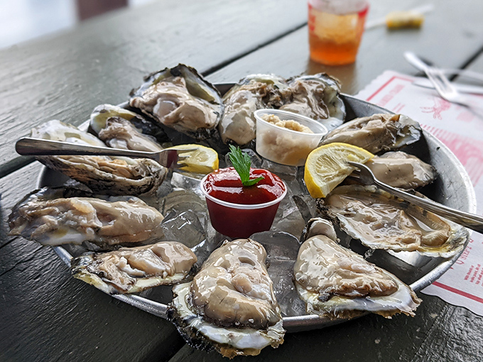 Fresh oysters on the half shell&mdash;nature's perfect appetizer&mdash;arranged like a briny clock of deliciousness with cocktail sauce at high noon.
