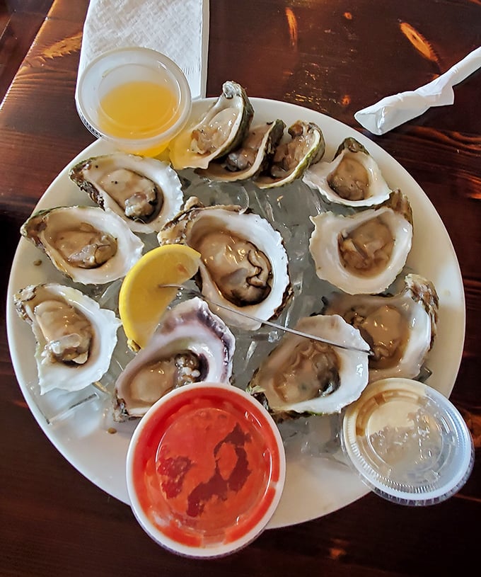Fresh oysters on the half shell - nature's perfect appetizer served with all the fixings for pure bliss.