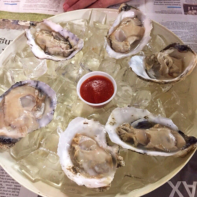 Fresh oysters on the half shell, glistening like jewels on a bed of ice&mdash;nature's perfect appetizer with just a touch of cocktail sauce.