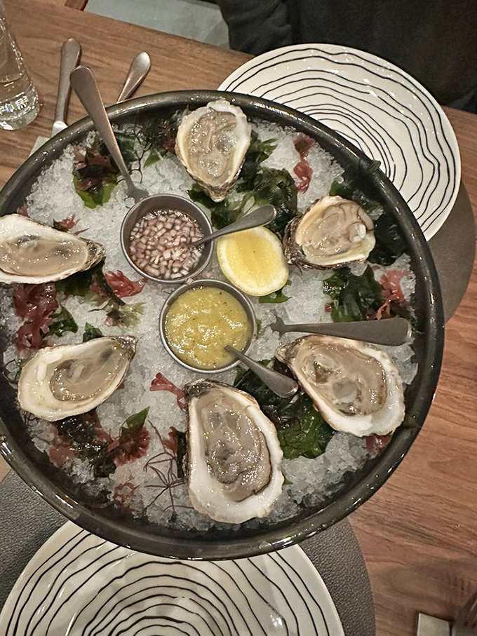 Fresh oysters on ice remind you that Maryland's coastal treasures shine even in converted sacred spaces.