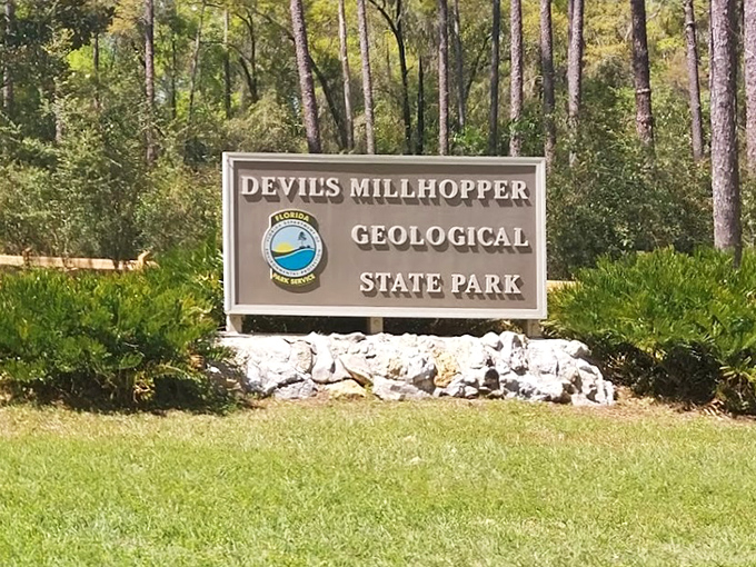 When a park sign points to "Sinkhole," it's usually cause for alarm. Here, it's an invitation to witness geological magic.