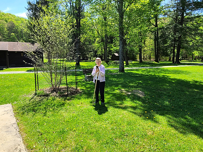 Sun-dappled grounds where generations have created memories. That tree has probably witnessed more family picnics than your grandmother's photo album.