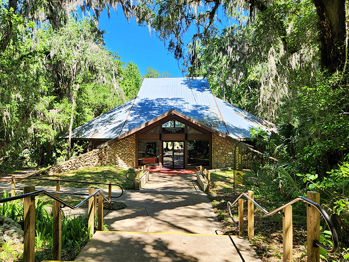 Modern visitor center meets ancient landscape in perfect harmony beneath towering oak canopies.