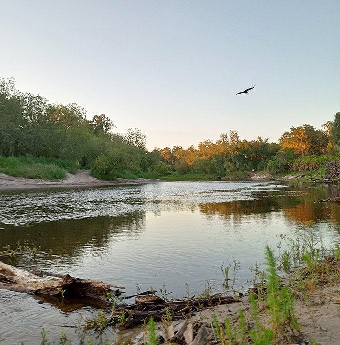 Peace River lives up to its name, offering tranquil waters where time slows and nature's soundtrack replaces your playlist.