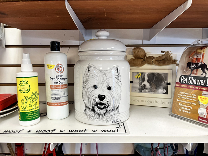 Pamper your furry friends without breaking the bank with these pet grooming essentials at thrift store prices.