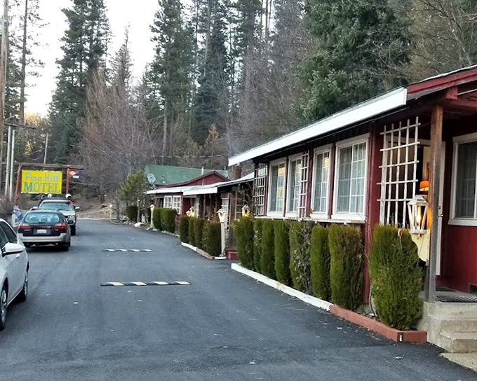 Historic downtown buildings showcase architectural details that modern construction forgot how to create properly.