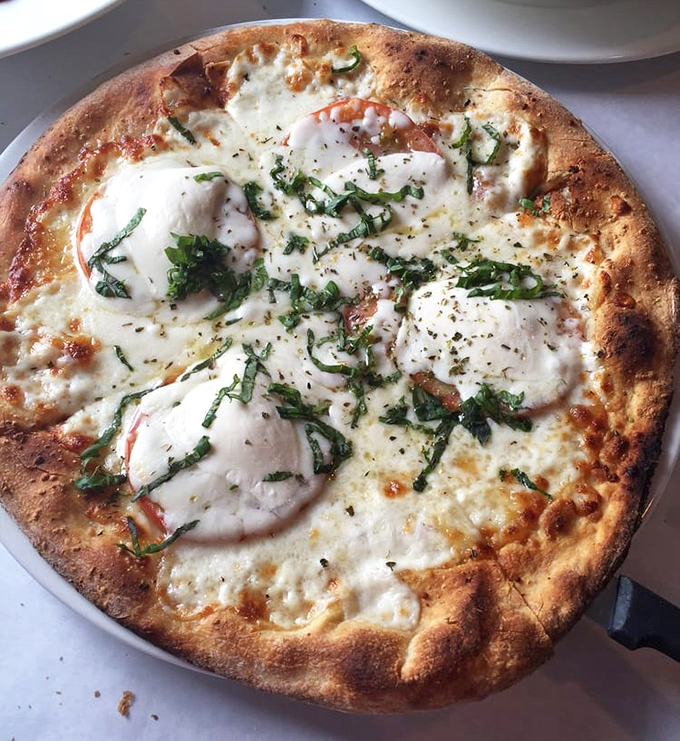 Pizza perfection with that ideal balance of cheese, crust, and fresh basil. The kind that ruins chain pizza for you forever.