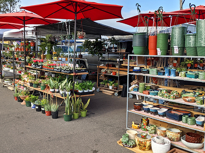 A garden center sprouting from asphalt &ndash; these plant vendors transform concrete into possibility with every succulent, herb, and flowering friend.