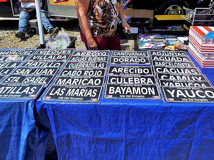 Vintage plates and dishware stack like porcelain treasures, each piece carrying stories from countless family dinners past.