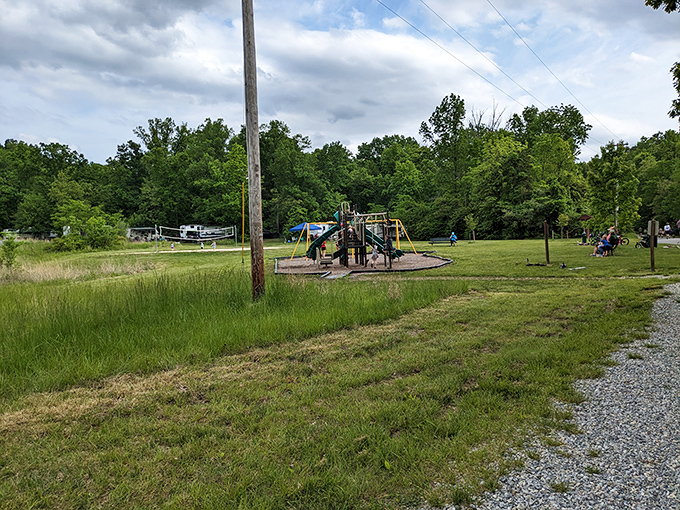 Playground paradise where kids burn energy while parents secretly wish they could join in. Swings don't have age limits, right?