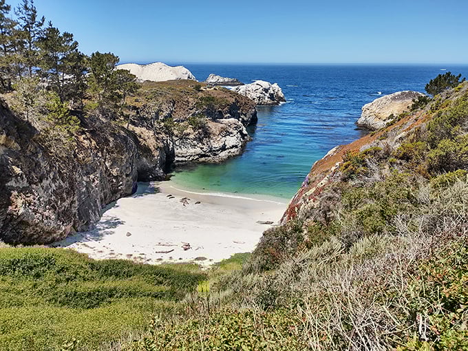 Nature's architecture at Point Lobos&mdash;where wind-sculpted cypress trees cling to cliffs as if posing for their California driver's license photo.
