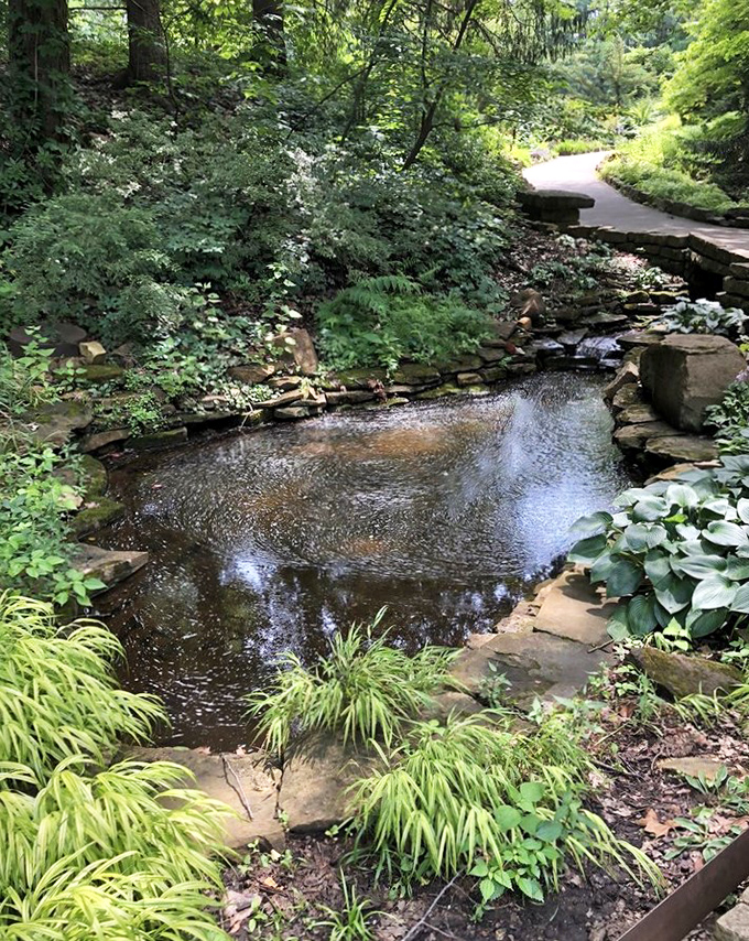 Reflections dance across this serene pond where water lilies and koi create nature's own meditation app&mdash;no subscription required.