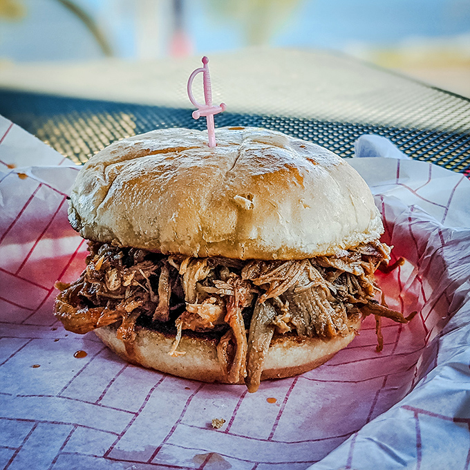 The pulled pork sandwich arrives like a mountain of meat ready to avalanche with each bite, held together by a bun that's up for the challenge.