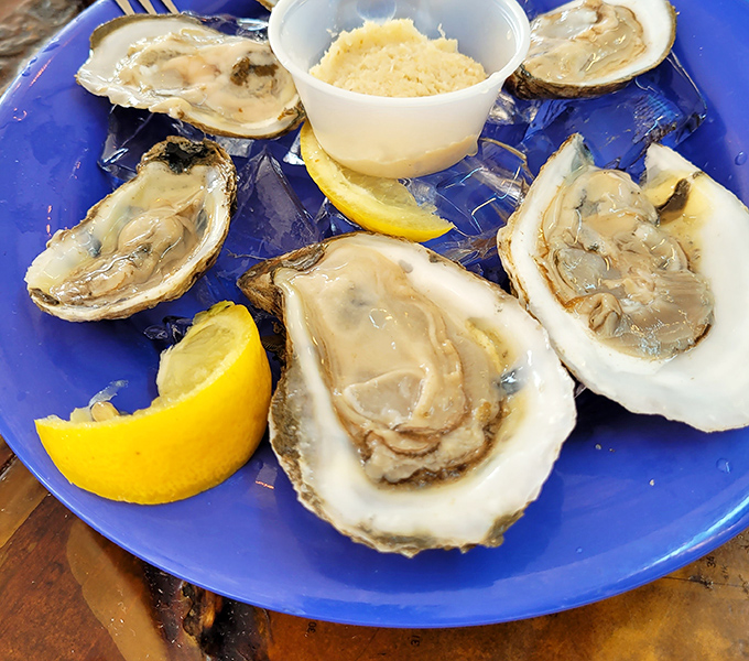 Fresh oysters on the half shell &ndash; nature's perfect appetizer, just waiting for a squeeze of lemon and a moment of appreciation.