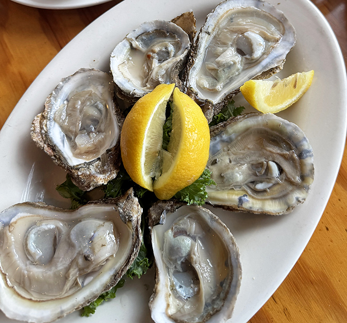 Oysters so fresh they're practically still gossiping about what happened in the bay this morning. Just add lemon and prepare to swoon.