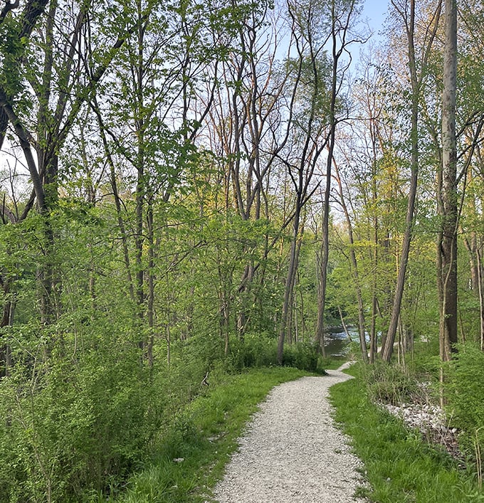 Woodland trails wind alongside the Chagrin River, where dappled sunlight creates nature's stained glass windows on this perfect afternoon escape. 