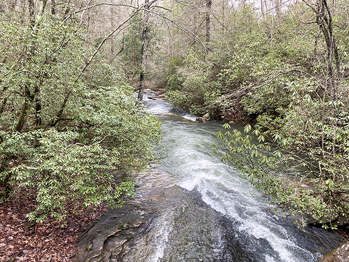 Water always finds its path, carving through resistance with persistent grace. A life lesson wrapped in a gorgeous Georgia stream.