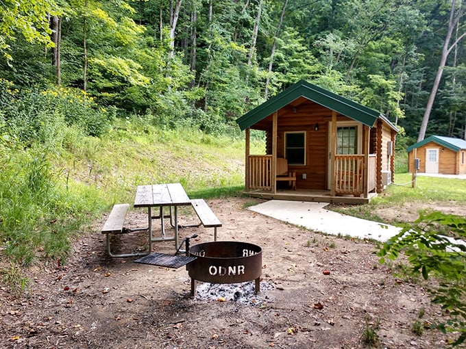 Glamping goes old-school with these charming cabins where the luxury isn't thread count but rather the soundtrack of rustling leaves outside your window