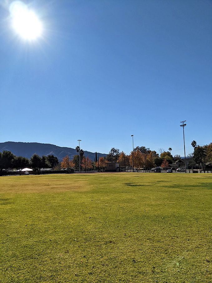 Sarzotti Park's expansive green space sits beneath Ojai's protective mountains—perfect for picnics, people-watching, or impromptu frisbee championships.
