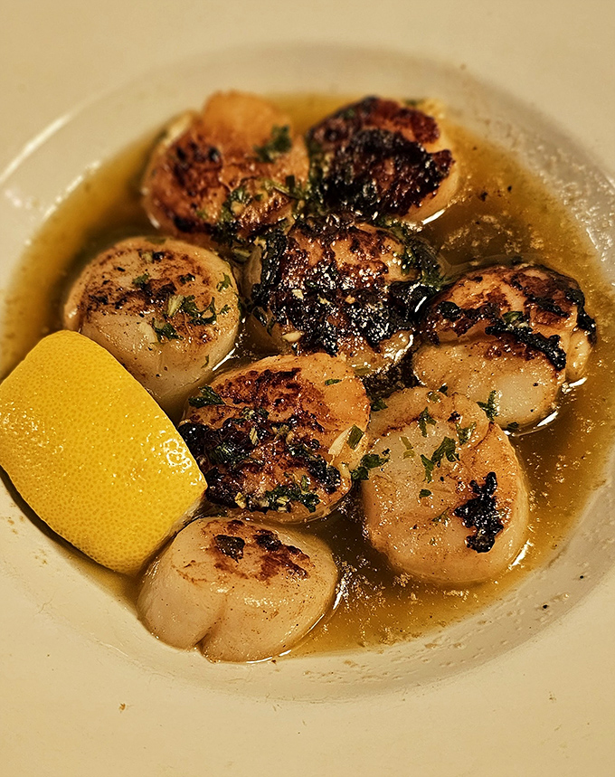 These scallops have better tans than most Ohioans in February, perfectly seared and swimming in buttery bliss.