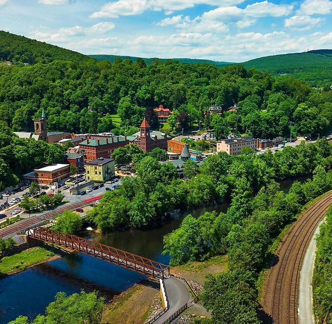 The town unfolds like a storybook illustration, with the river, bridge, and buildings harmonizing in a scene that begs to be photographed or painted.