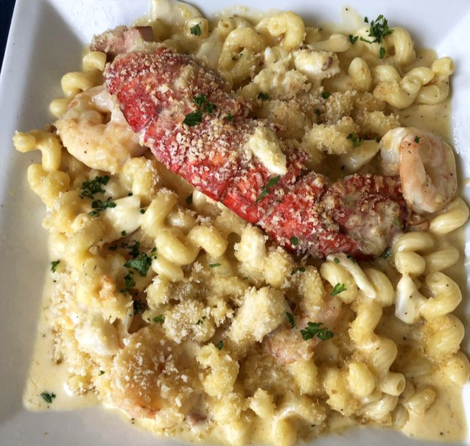 Seafood mac and cheese&mdash;where comfort food gets dressed for a fancy night out. The lobster isn't just visiting this pasta; it's having a full-blown party.