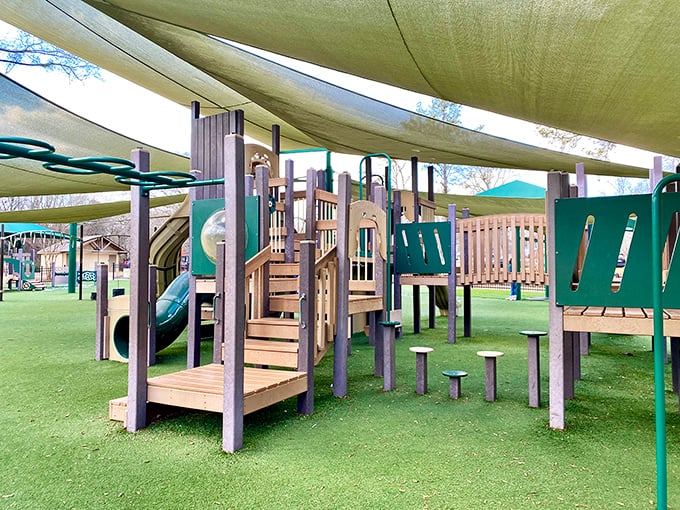 Modern playground equipment under shade structures shows how communities prioritize both fun and sun protection perfectly.