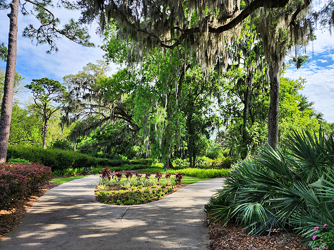 Spanish moss drapes from ancient oaks like nature's own curtains, creating shaded pathways that feel 10 degrees cooler than they have any right to be.