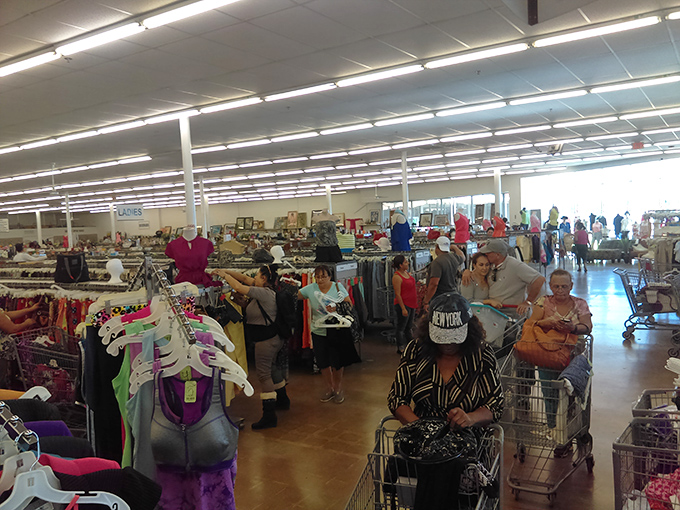 Fellow treasure hunters navigate the aisles with practiced precision, carts filling with discoveries that spark joy and nostalgia.