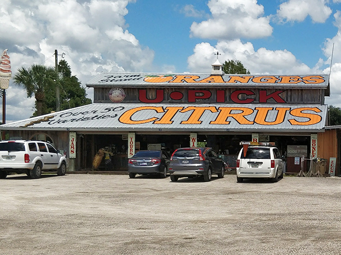 This no-frills citrus stand screams "authentic Florida" louder than a retiree complaining about humidity. The fruit inside is worth every sweaty second.