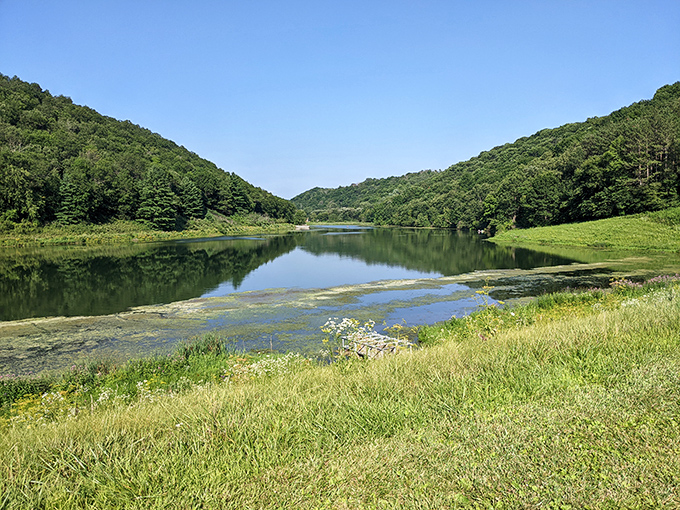 Sidie Hollow Park offers that perfect mirror-like water reflection that makes amateur photographers like me think we're suddenly National Geographic material.