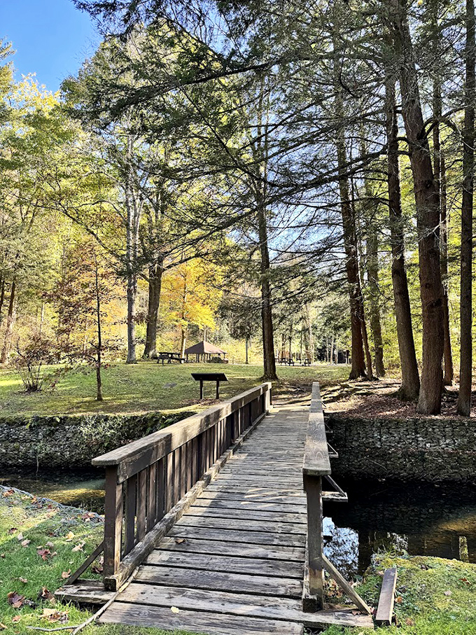 This wooden footbridge at Sizerville State Park doesn't just cross a stream&mdash;it transports you to the Pennsylvania that existed before smartphones and streaming services.