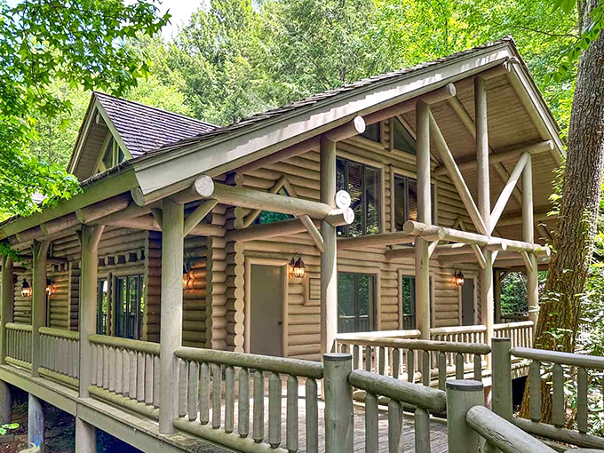 Log cabin luxury that makes "roughing it" feel like a five-star experience. This cottage offers wilderness views with decidedly unwilderness comfort.