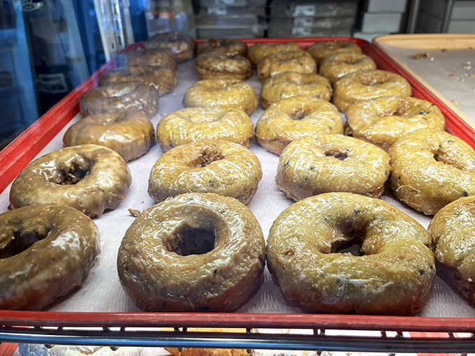Sour cream donuts wearing their cinnamon-sugar coating like a cozy winter sweater for your mouth.
