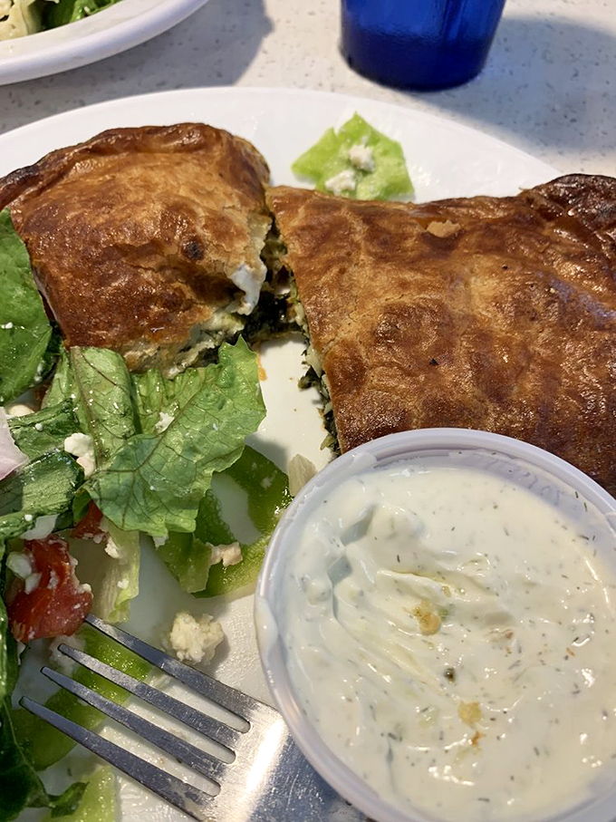 Not just a meal but an edible work of art—flaky pastry, tangy filling, and a side of tzatziki that transports you straight to the Mediterranean.