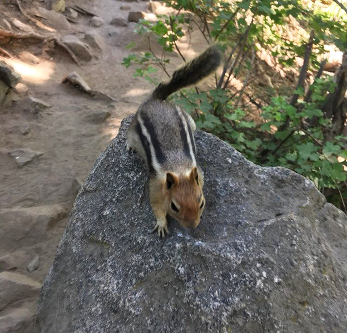 Local residents work for peanuts (literally) and pose like they're auditioning for a Disney movie.