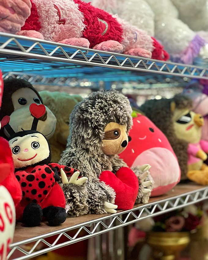 Stuffed animal adoption center where plush pals await new homes. That hedgehog has seen things, but he's ready to love again.