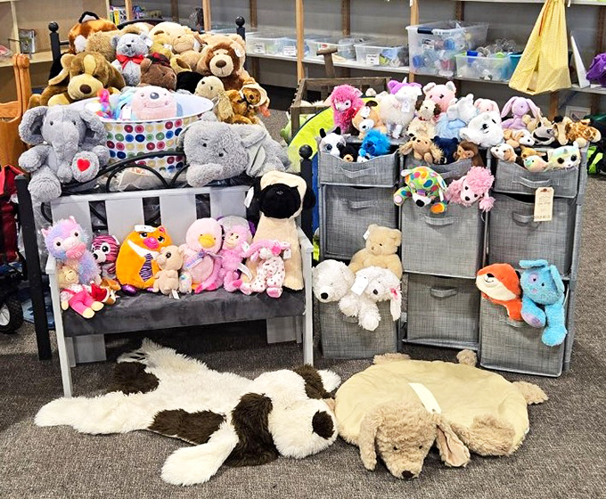 The stuffed animal adoption center where plush companions wait patiently for their forever homes. No feeding required, cuddles appreciated.