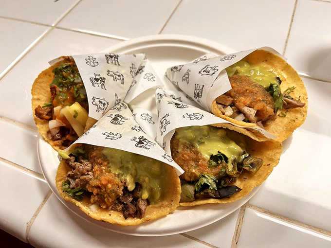 Three perfect tacos lined up like edible soldiers ready for delicious battle.